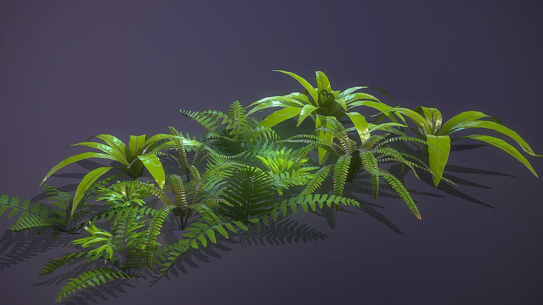ArtStation - Ferns Pack | Game Assets