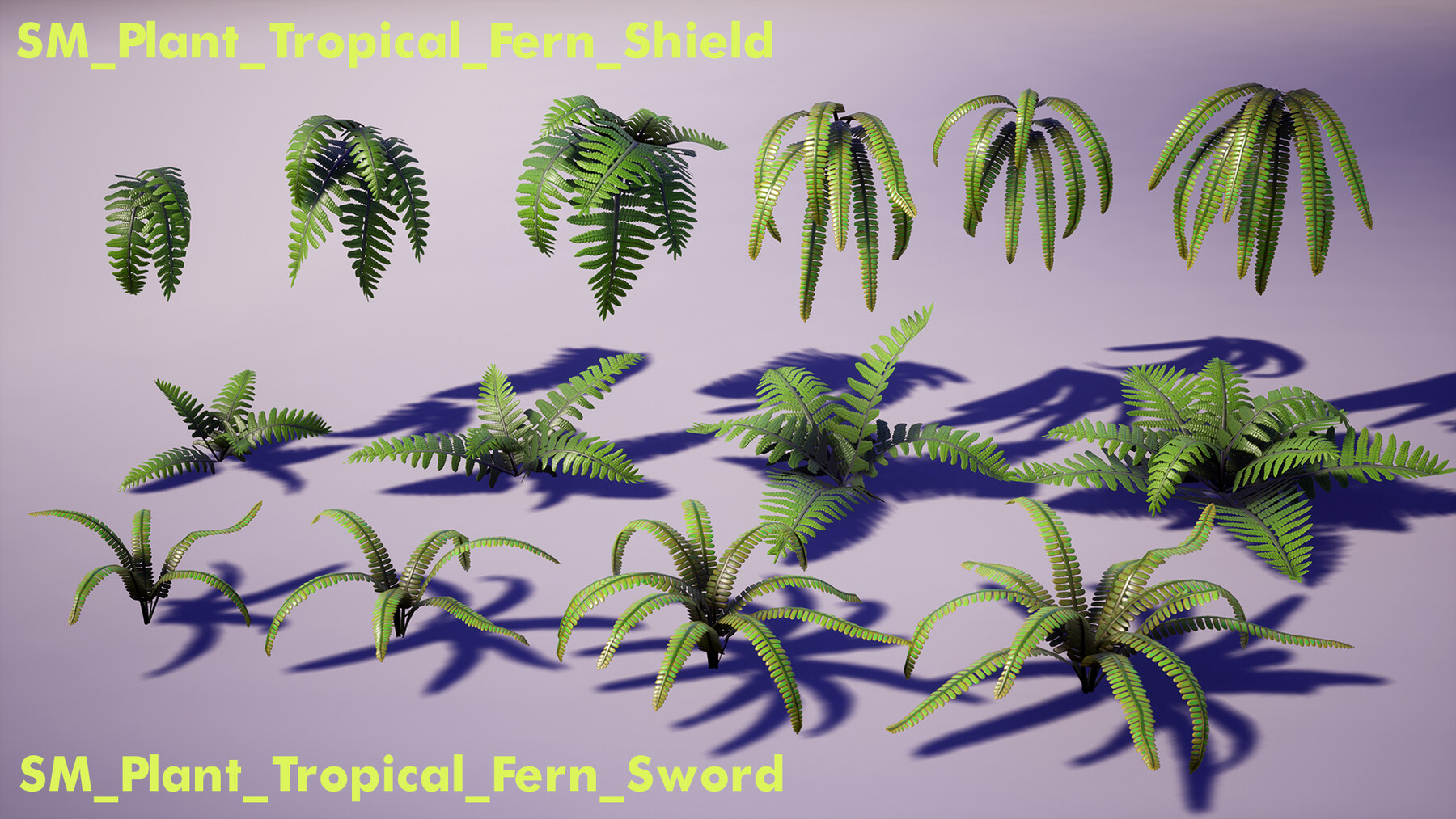ArtStation - Ferns Pack | Game Assets
