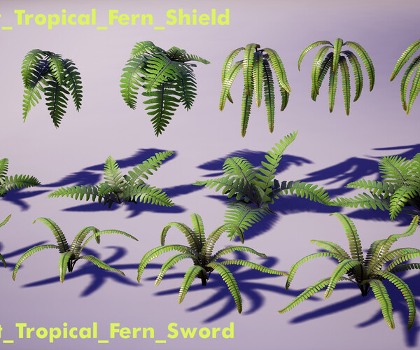 ArtStation - Ferns Pack | Game Assets