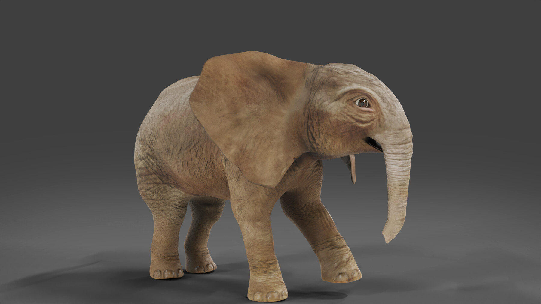 ArtStation - Baby Elephant Rigged and Animation Unity V02 | Game Assets
