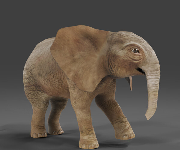 ArtStation - Baby Elephant Rigged and Animation Unity V02 | Game Assets
