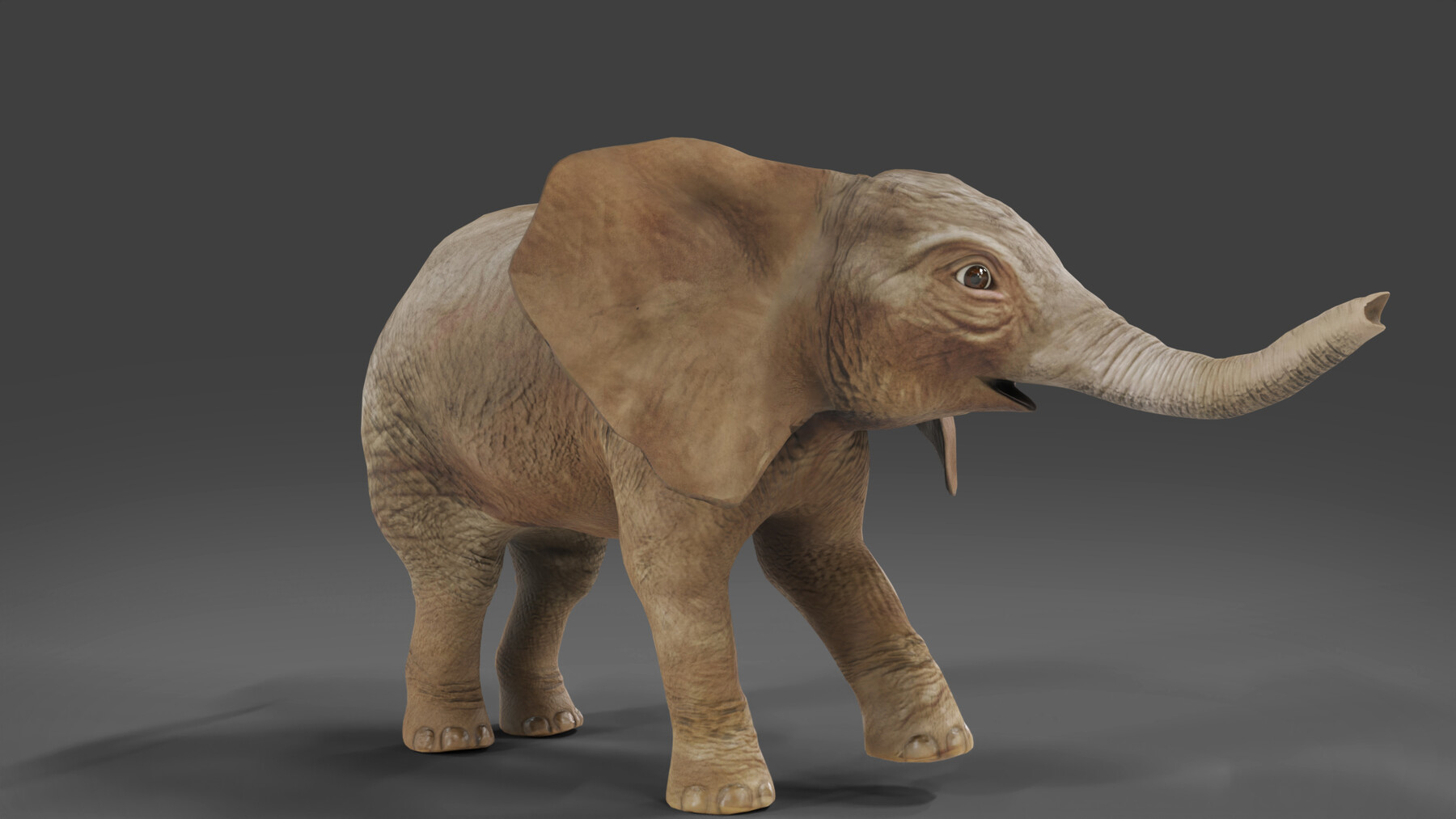 ArtStation - Baby Elephant Rigged and Animation Unity V02 | Game Assets