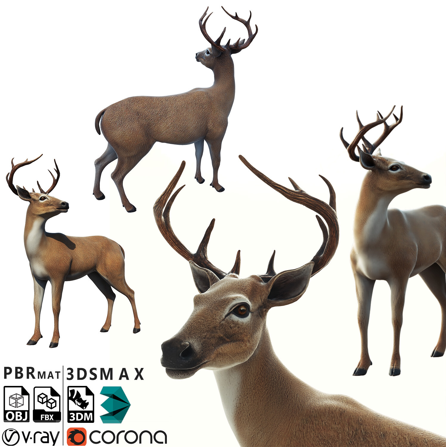 ArtStation - deer | Game Assets