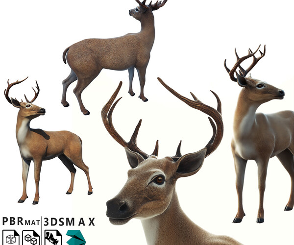 ArtStation - deer | Game Assets