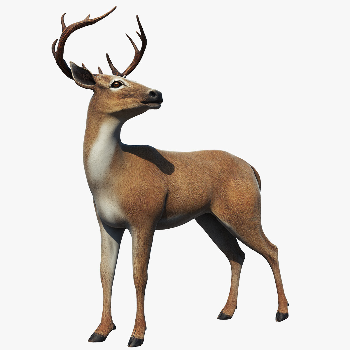 ArtStation - deer | Game Assets