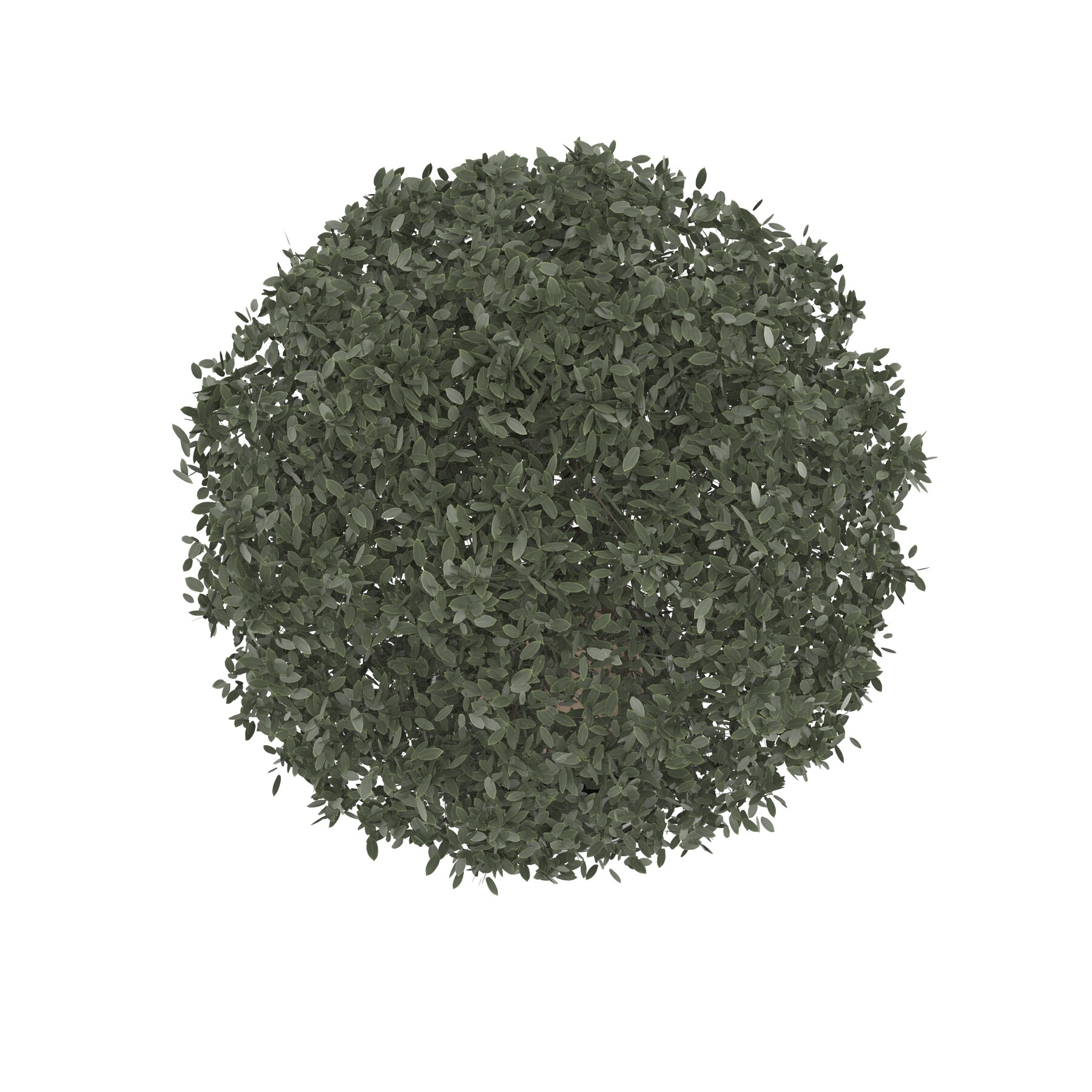 ArtStation - decoration flower-03 | Resources