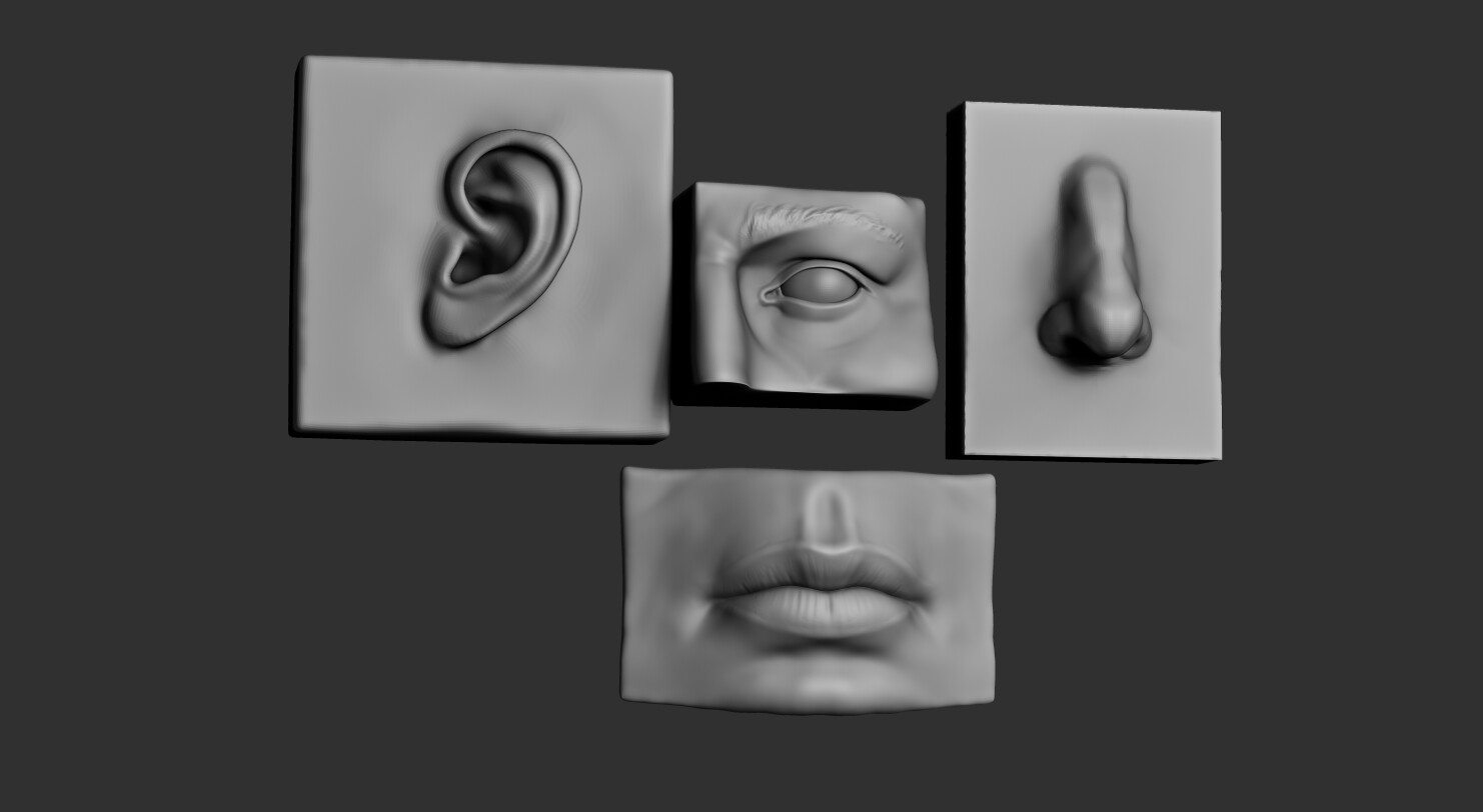 ArtStation - Free Head Parts Anatomy | Resources