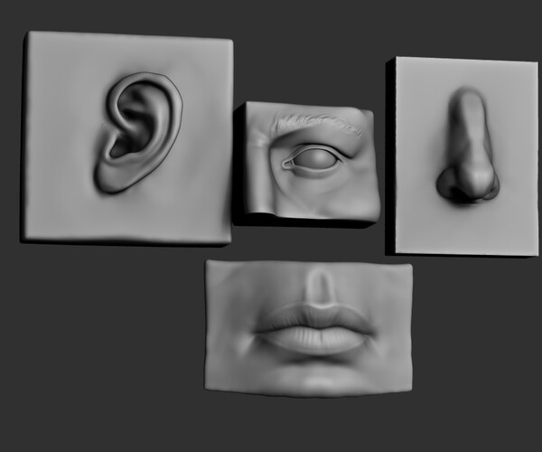 ArtStation - Free Head Parts Anatomy | Resources