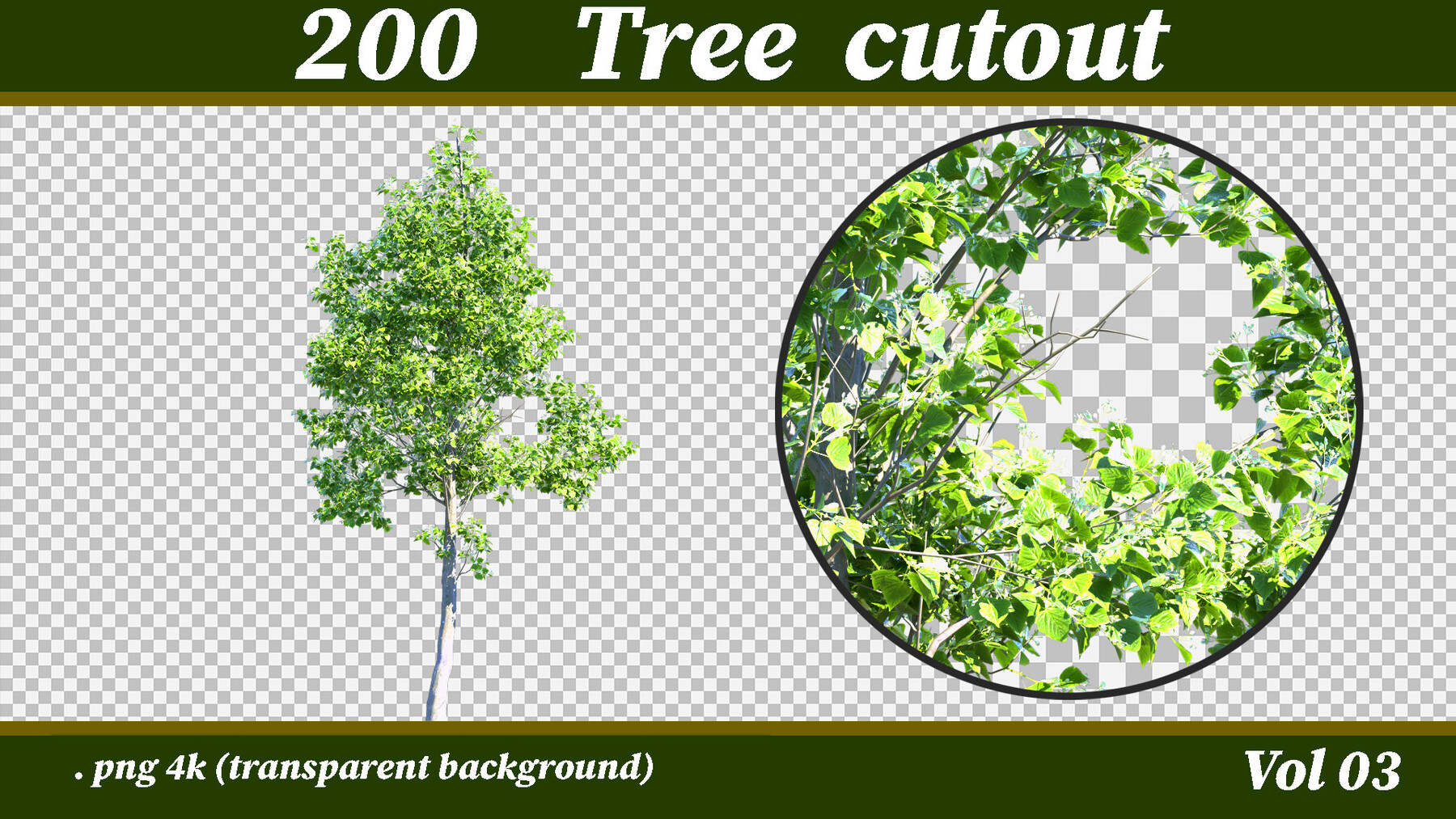 ArtStation - Tree cutout png 4k & psd (Alder, Maple, Weeping willow ...