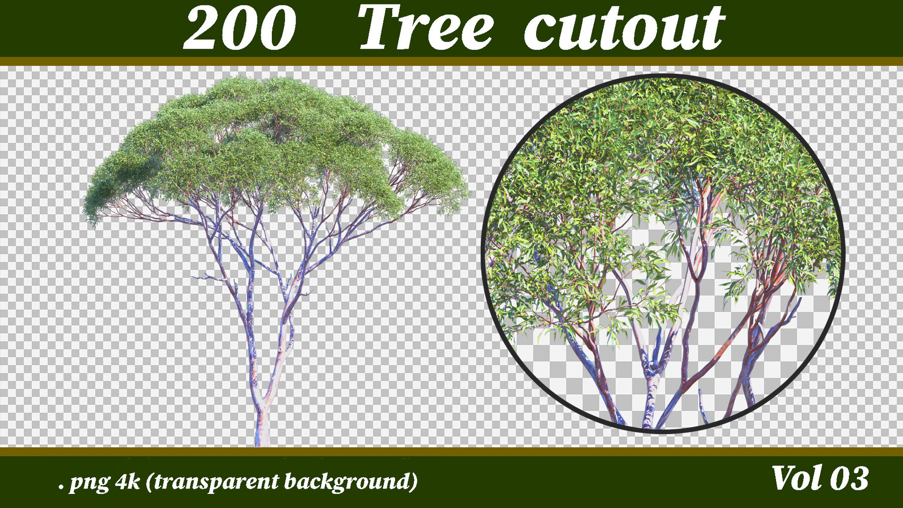 ArtStation - Tree cutout png 4k & psd (Alder, Maple, Weeping willow ...