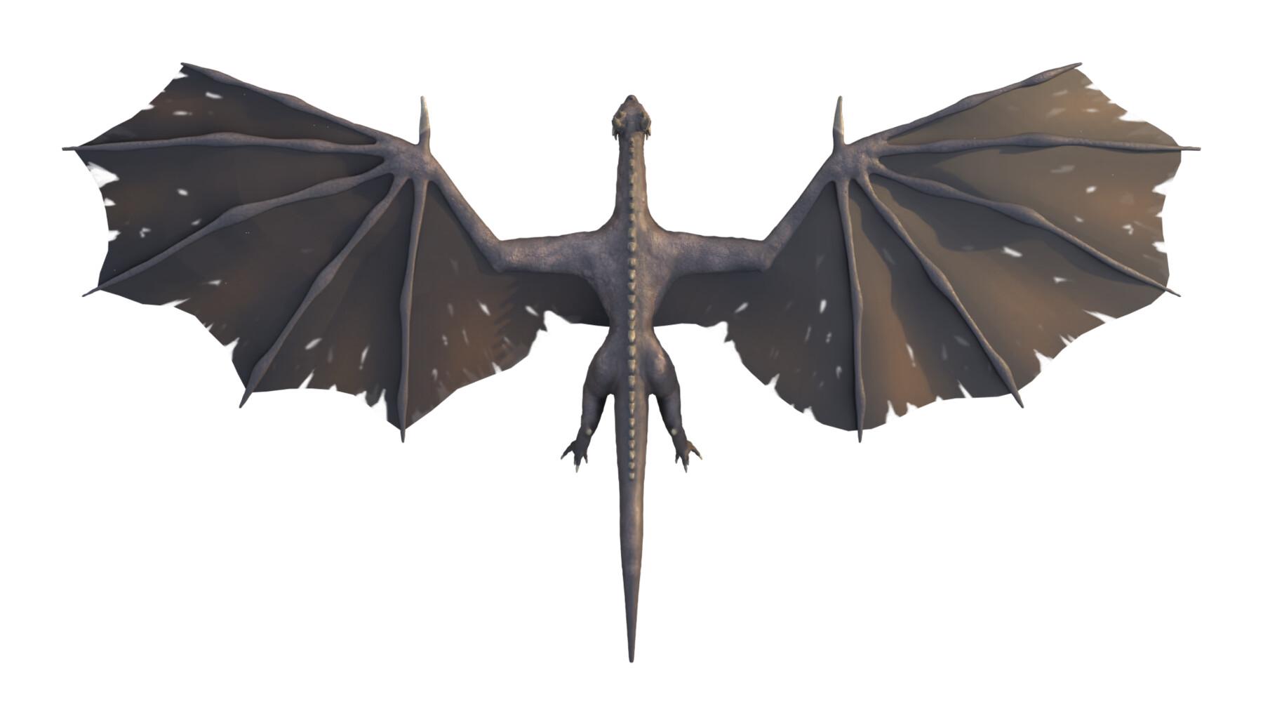 ArtStation - Wyvern 3D model rigged | Game Assets