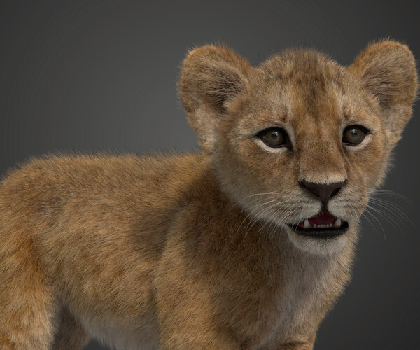 ArtStation - Lion Cub Animated | VFX Grace | Game Assets