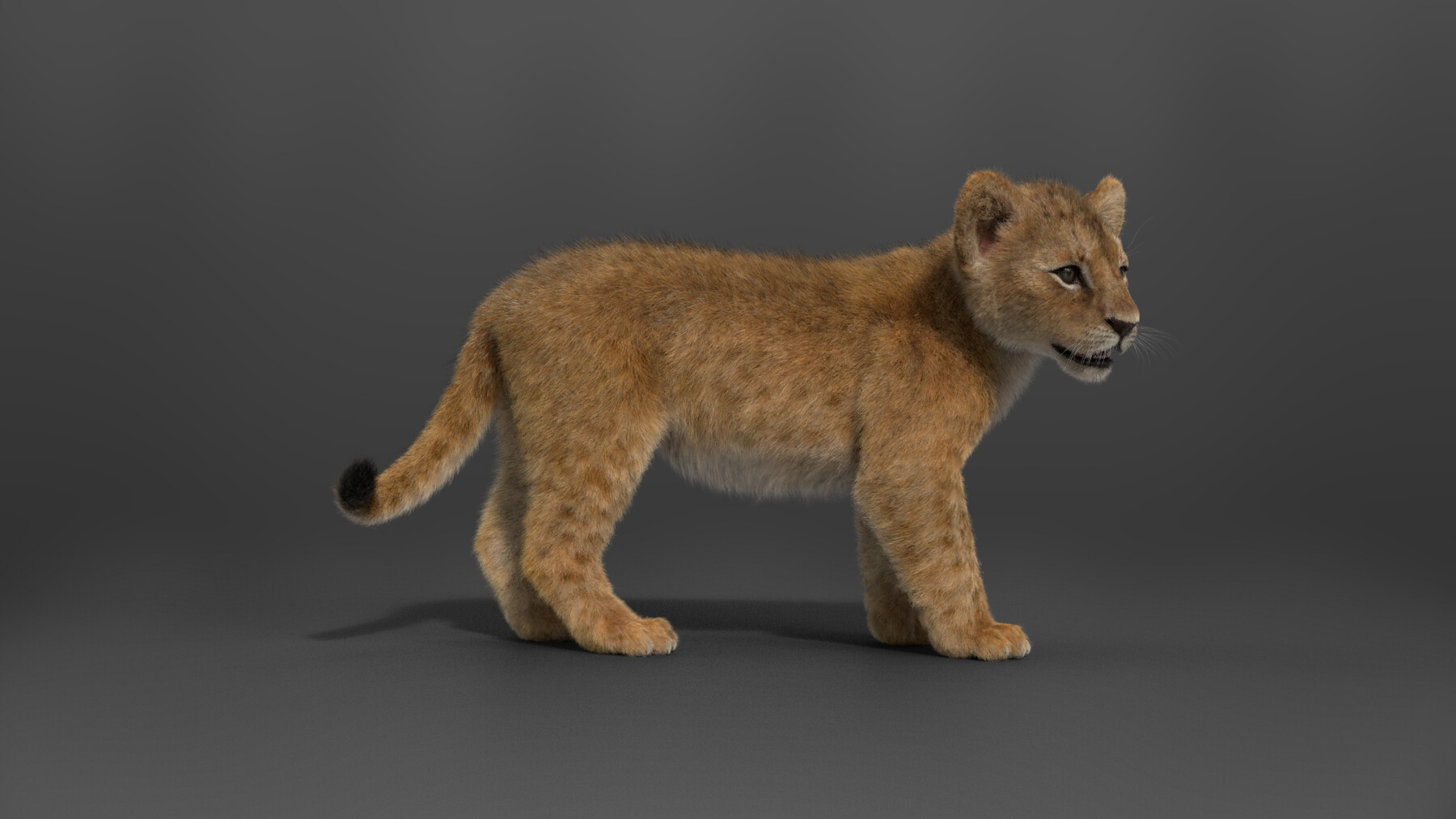 ArtStation - Lion Cub Animated | VFX Grace | Game Assets