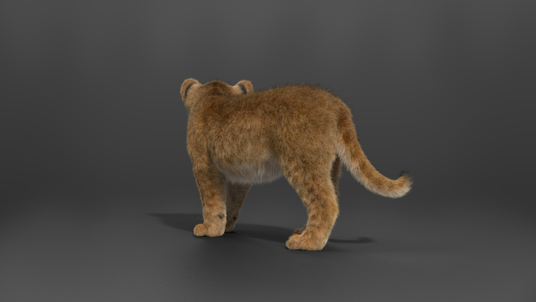 ArtStation - Lion Cub Animated | VFX Grace | Game Assets