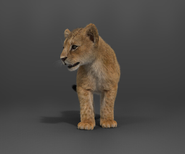 ArtStation - Lion Cub Animated | VFX Grace | Game Assets