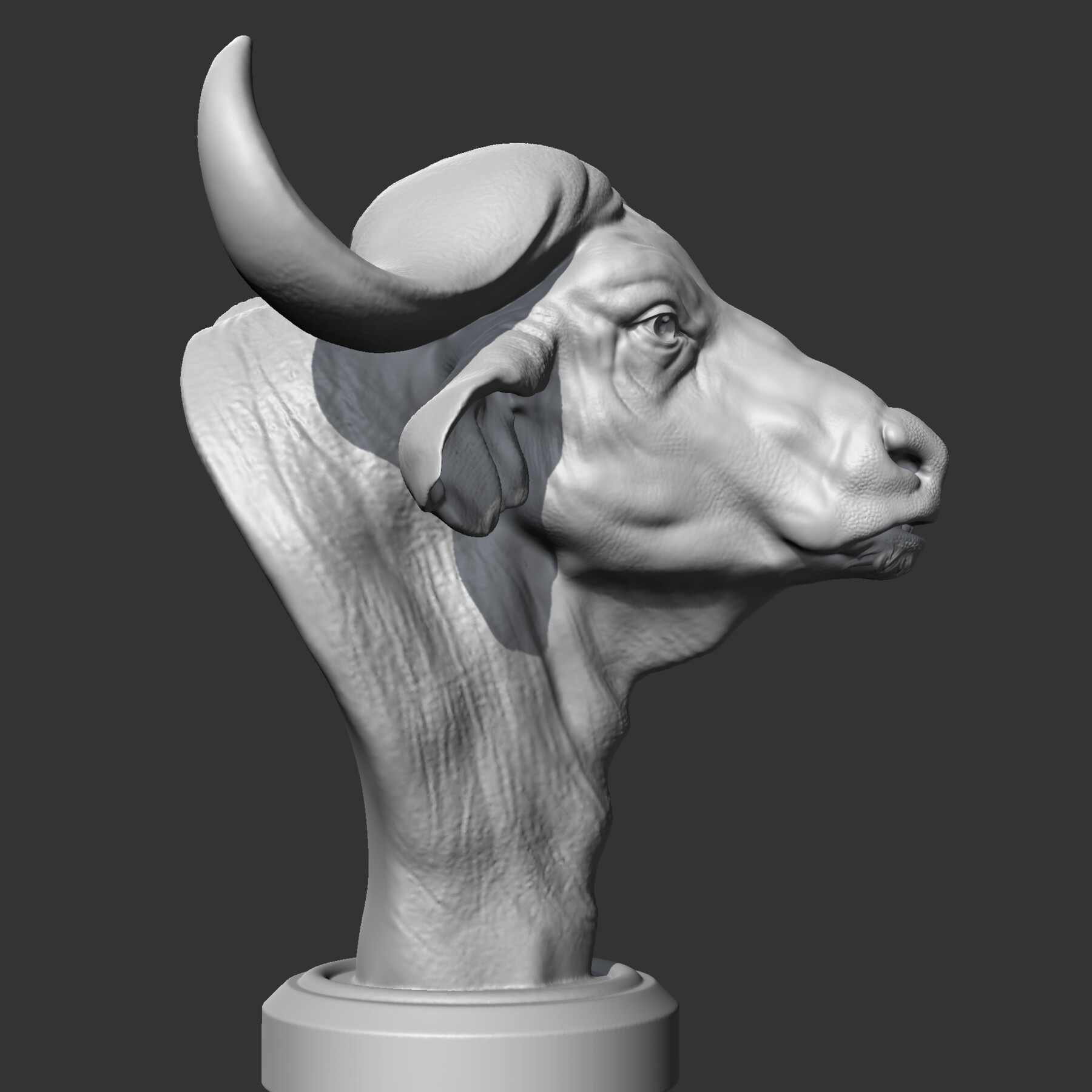ArtStation - Buffalo Head AM03 3D print model | Resources