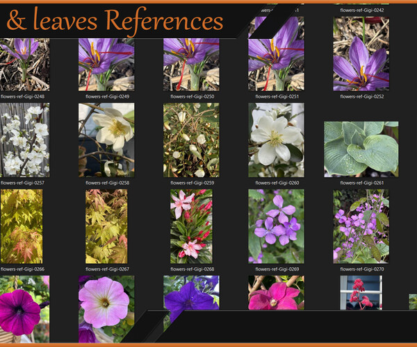 ArtStation - Flowers & leaves photo reference | Resources
