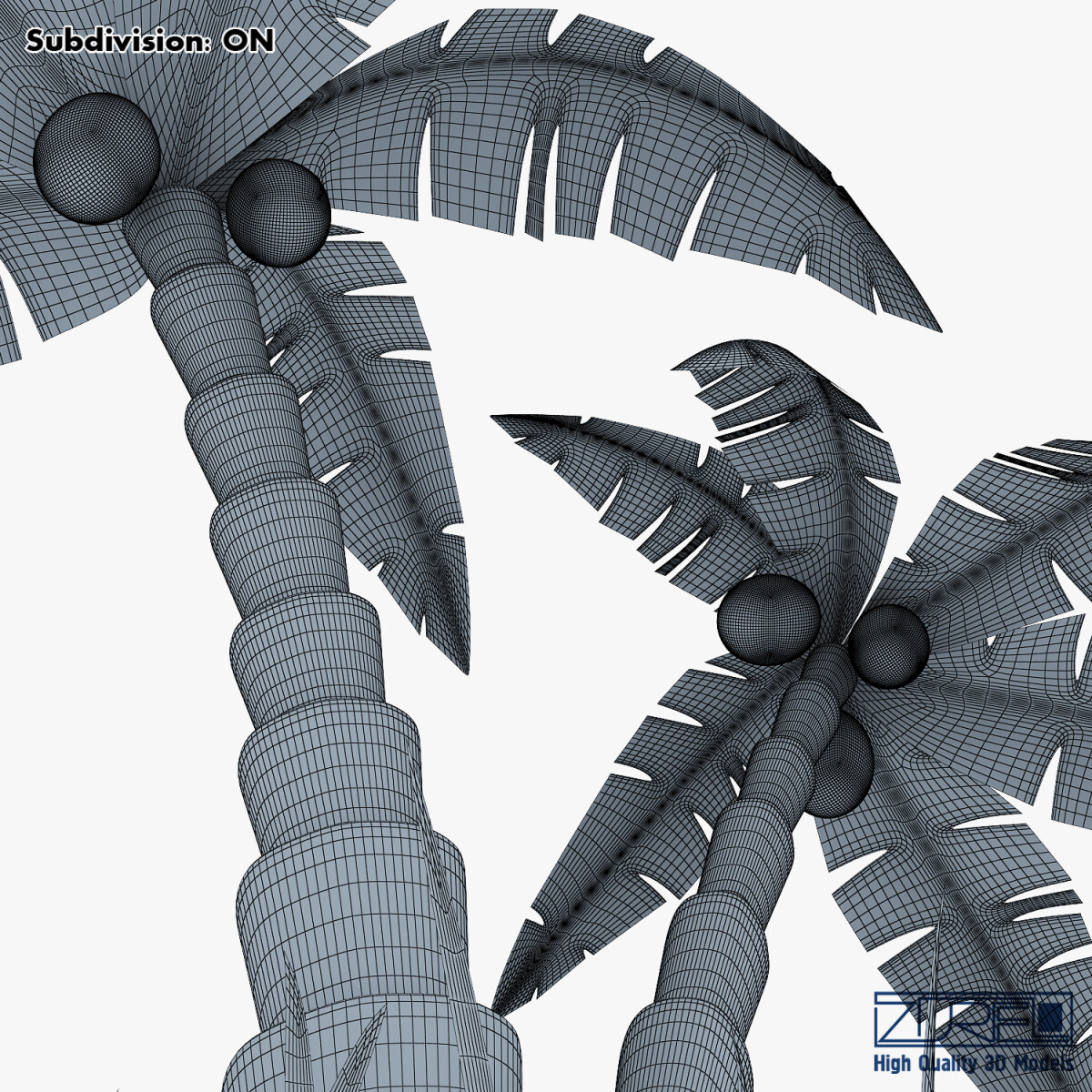 ArtStation - Palm Tree v 5 | Resources