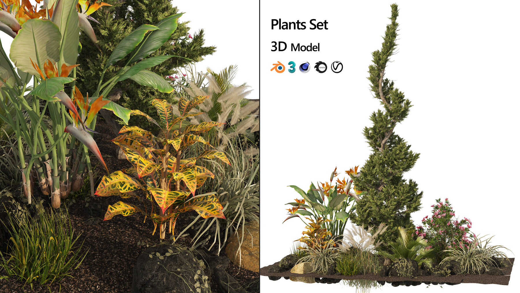 ArtStation - garden collection plant | Game Assets
