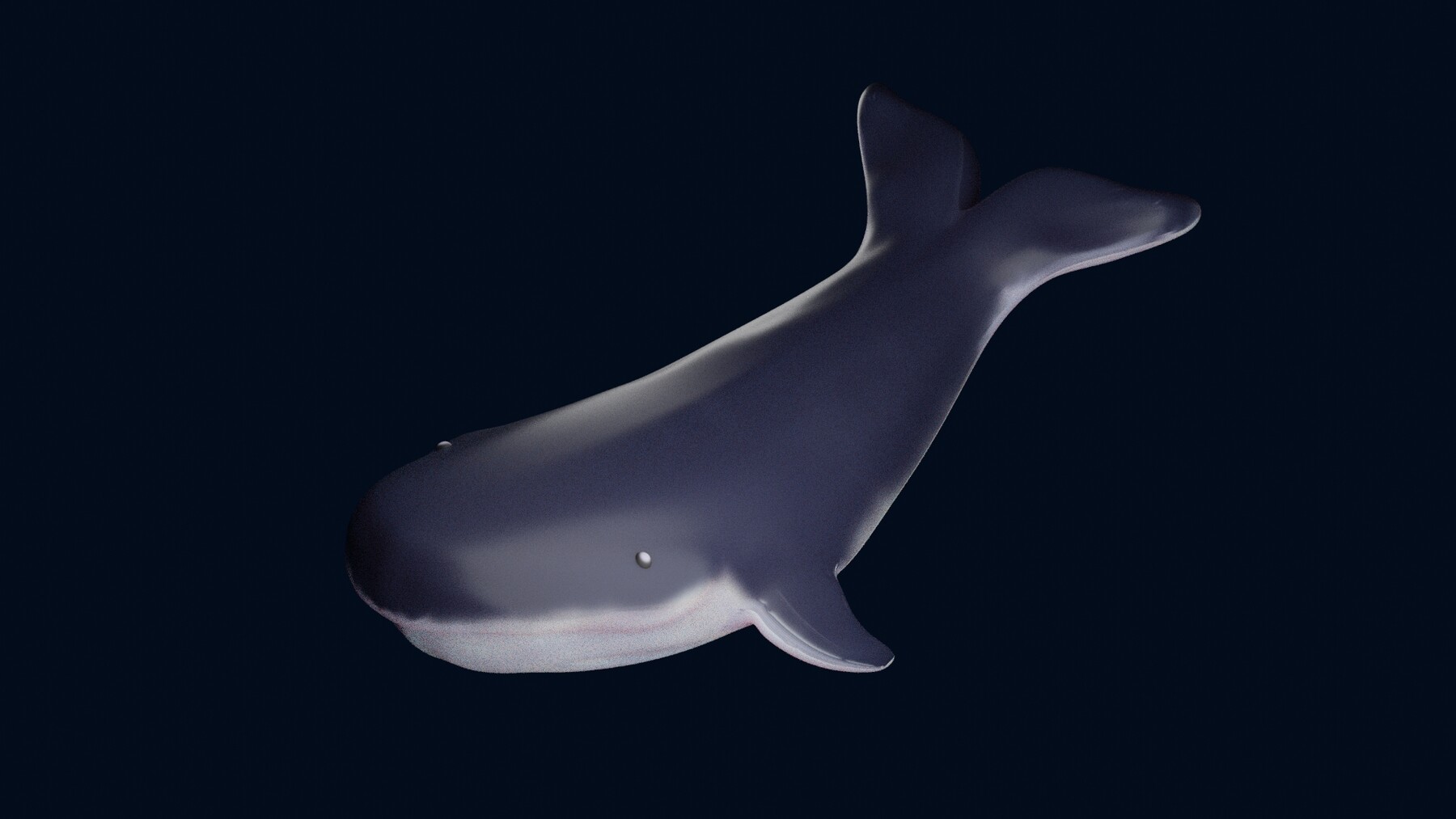 ArtStation - Whale 3D Model | Resources