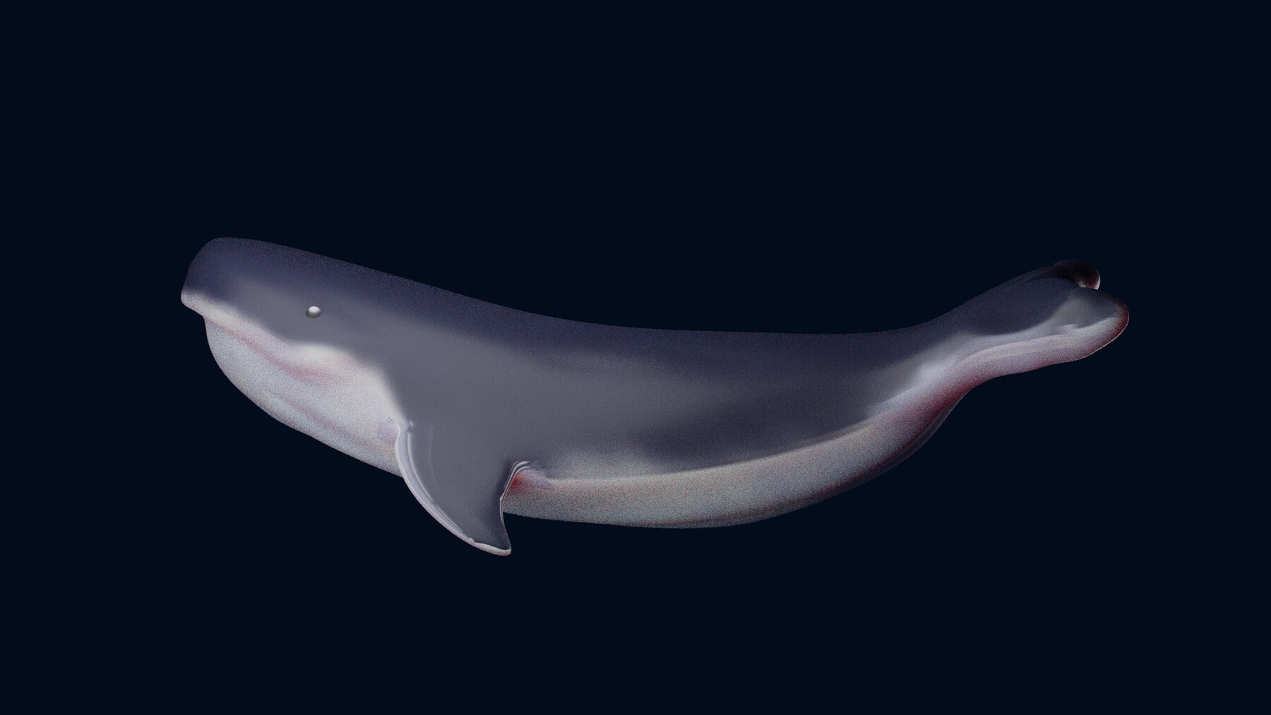 ArtStation - Whale 3D Model | Resources