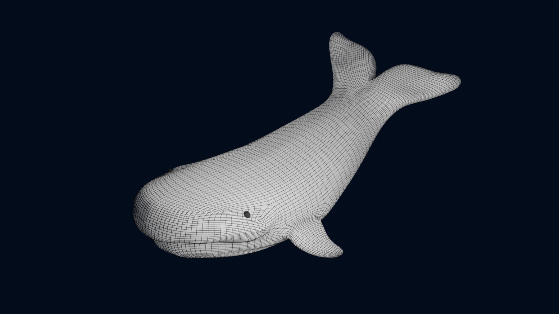 ArtStation - Whale 3D Model | Resources
