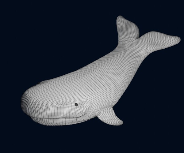 ArtStation - Whale 3D Model | Resources