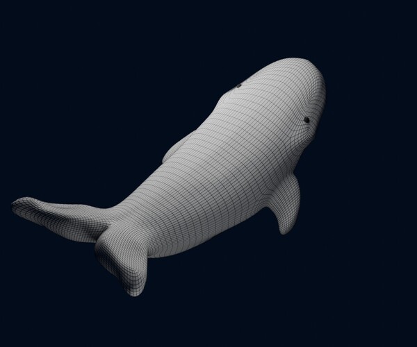 ArtStation - Whale 3D Model | Resources