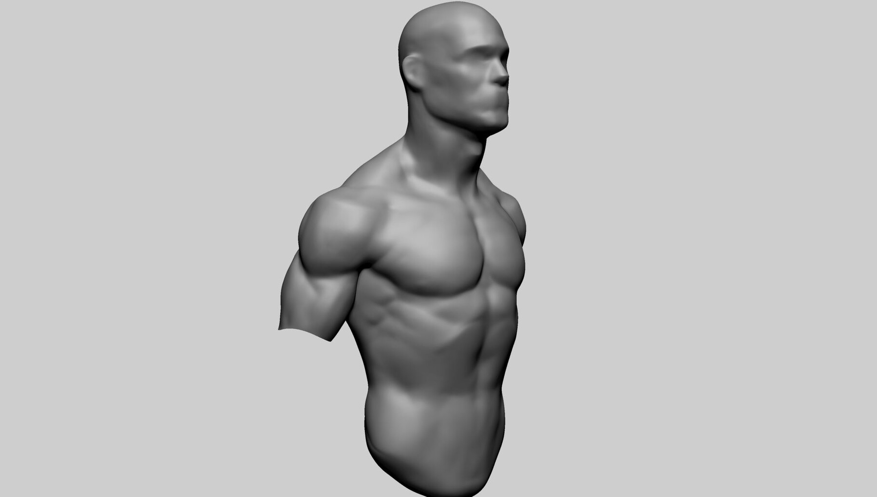 ArtStation - Male Upper Body A | Resources