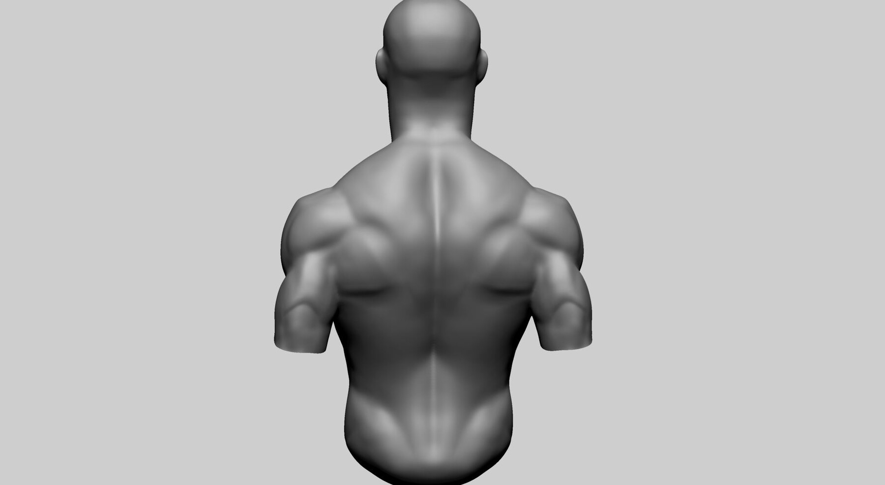 ArtStation - Male Upper Body A | Resources