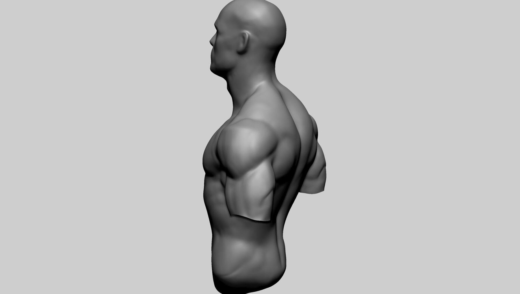 ArtStation - Male Upper Body A | Resources