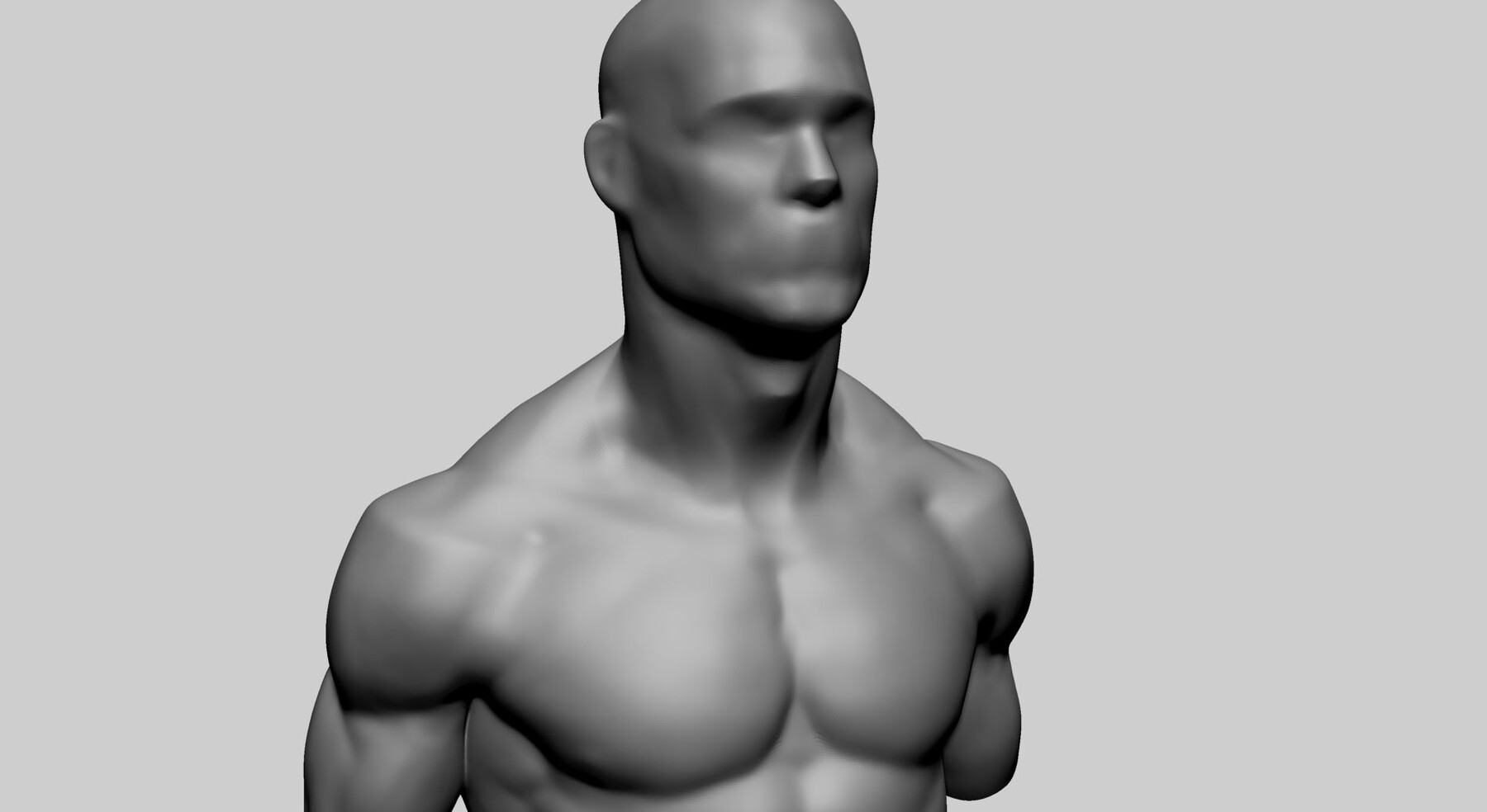 ArtStation - Male Upper Body A | Resources