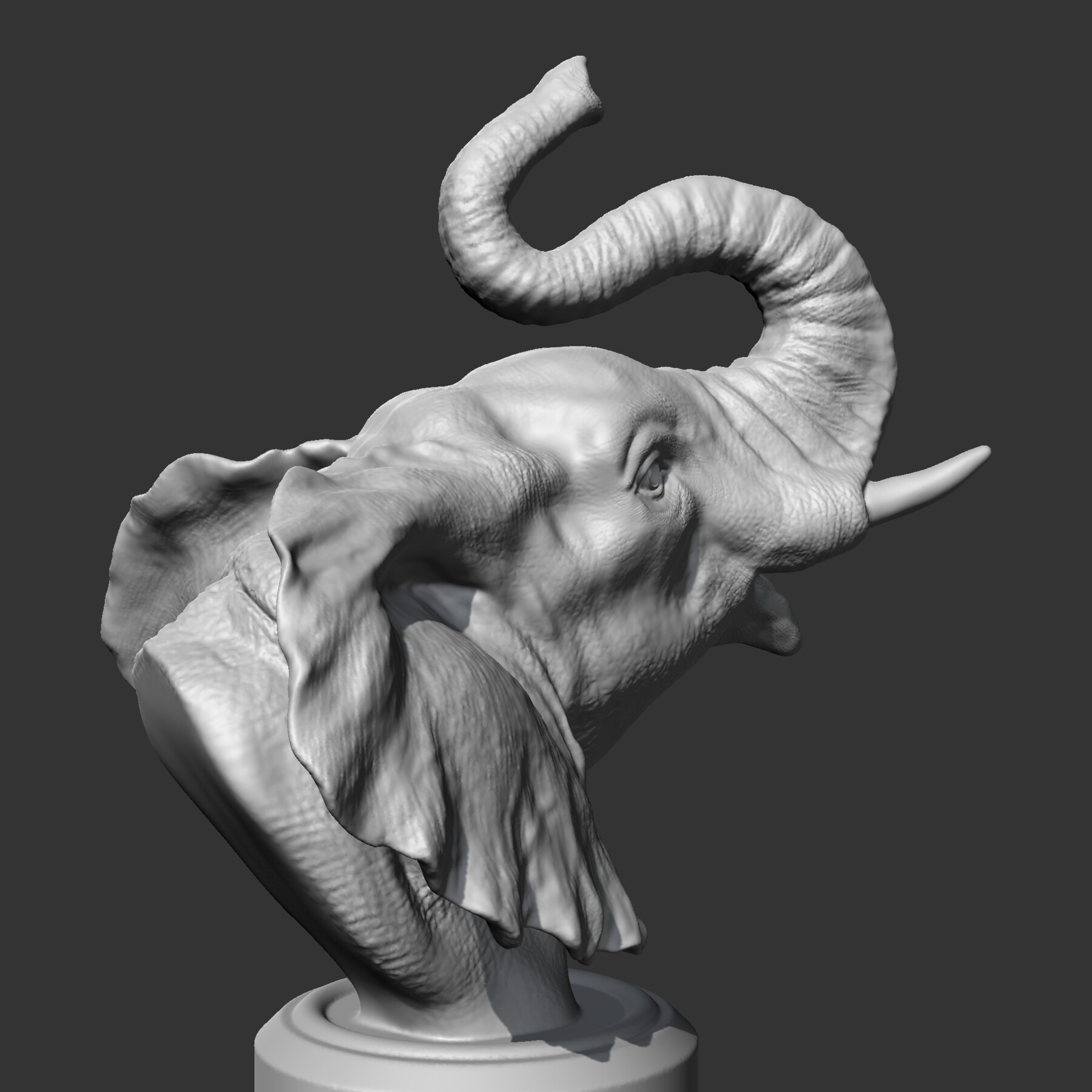 ArtStation - Elephant Head AM05 3D print model | Resources