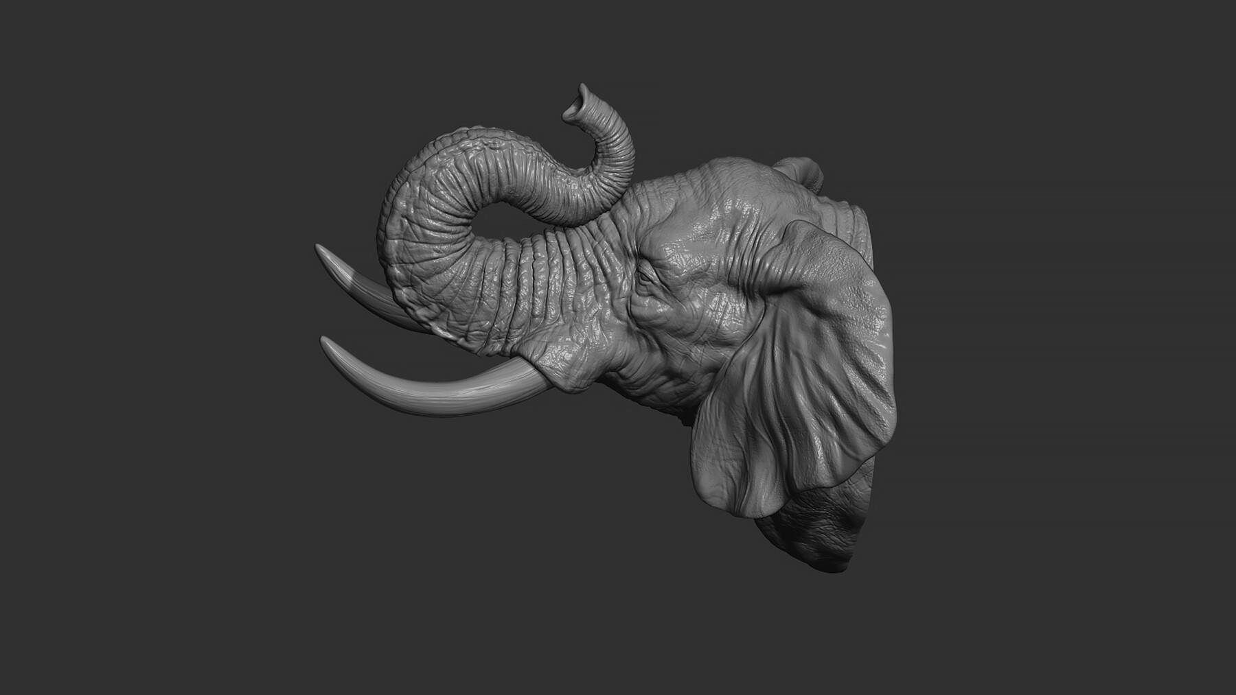ArtStation - Elephant raised its trunk | Resources