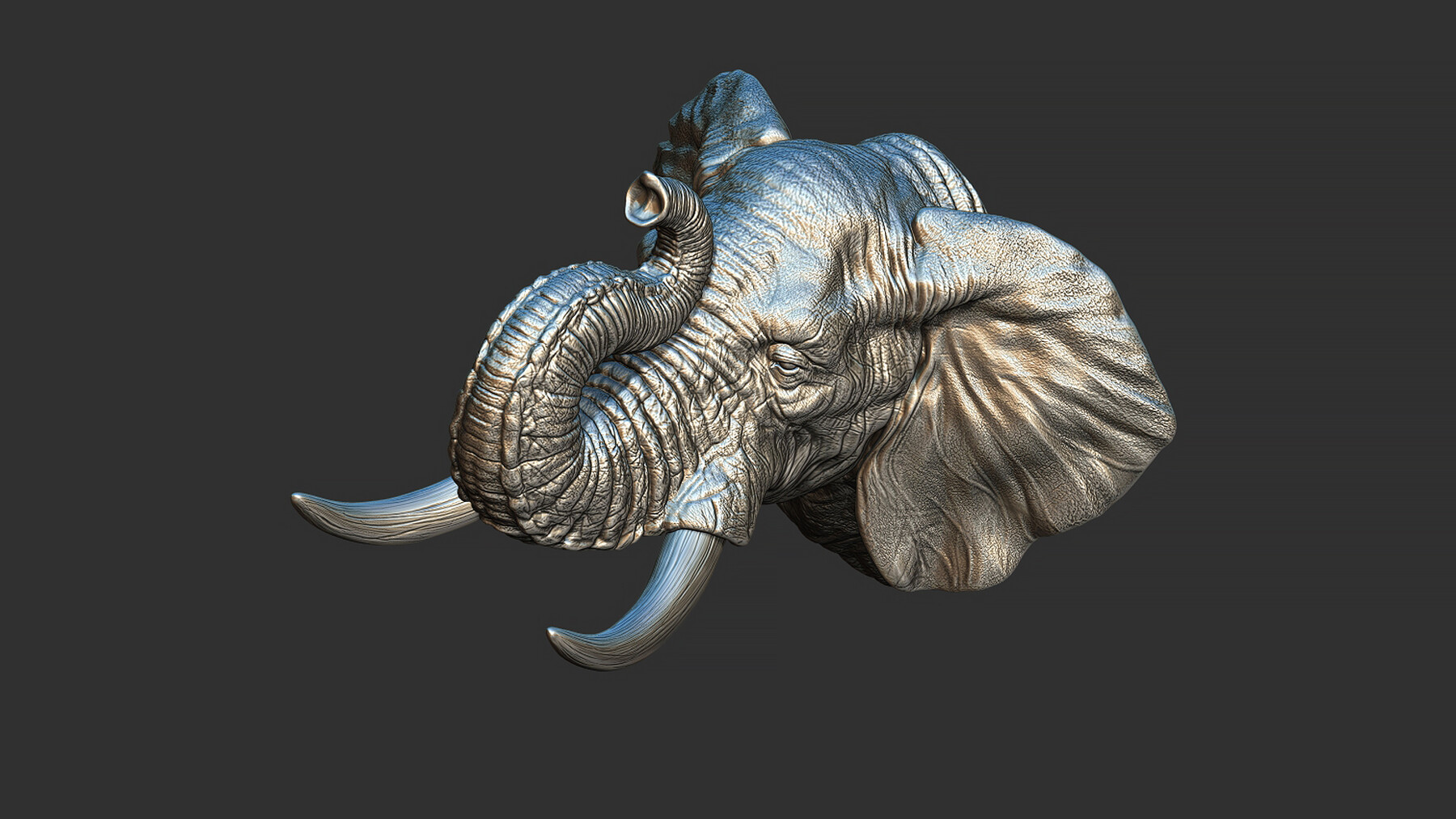 ArtStation - Elephant raised its trunk | Resources