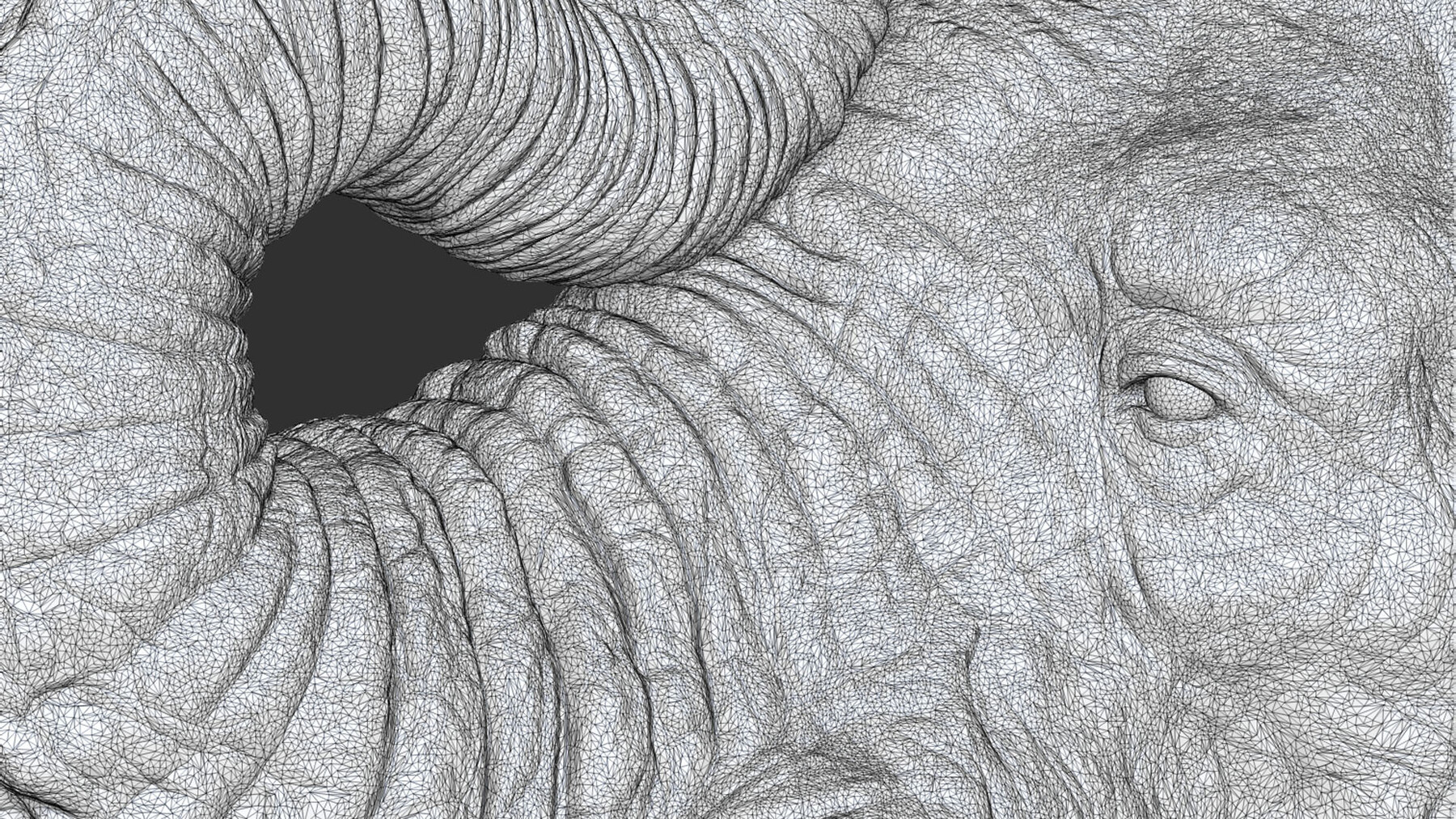 ArtStation - Elephant raised its trunk | Resources