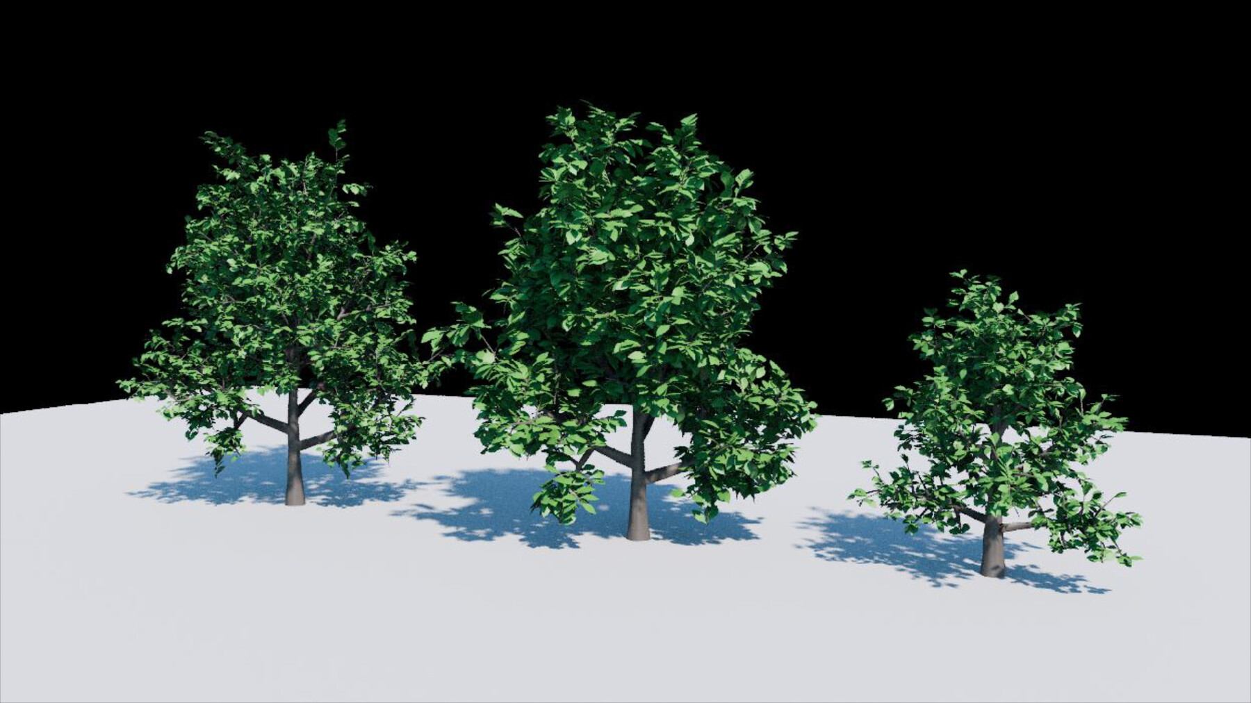 ArtStation - Low Poly Tree Collection | Resources
