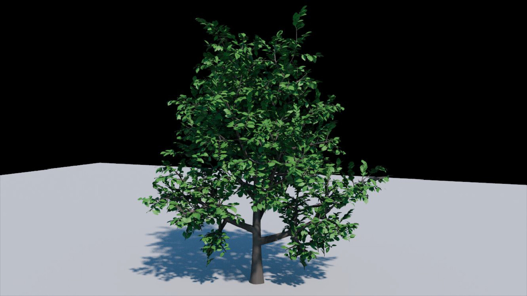 ArtStation - Low Poly Tree Collection | Resources