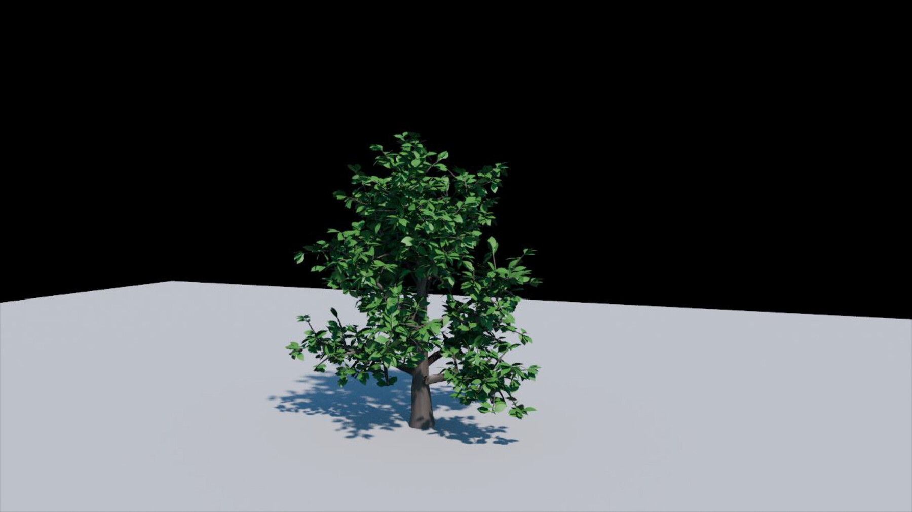 ArtStation - Low Poly Tree Collection | Resources