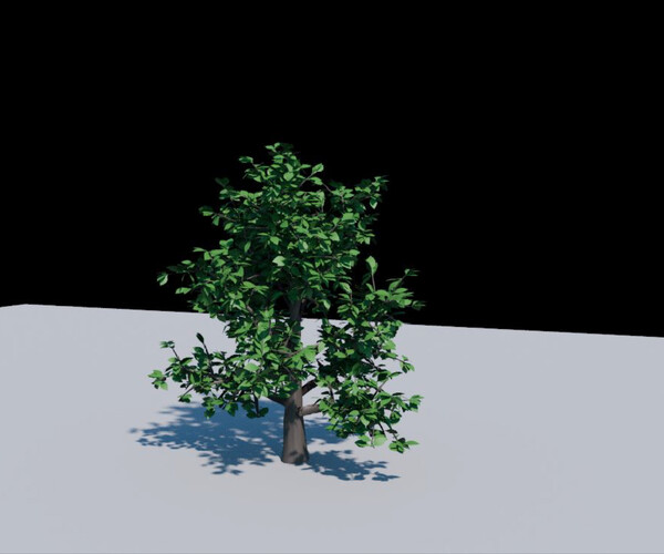 ArtStation - Low Poly Tree Collection | Resources
