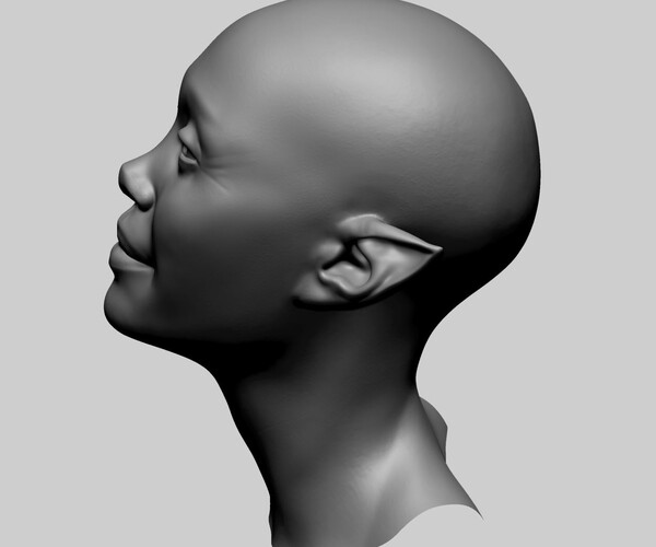 ArtStation - Female Head C1 | Resources