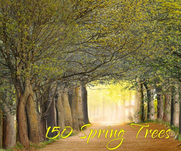 ArtStation - 5000+ Photo Overlays MEGA Bundle, Autumn Spring Forest ...