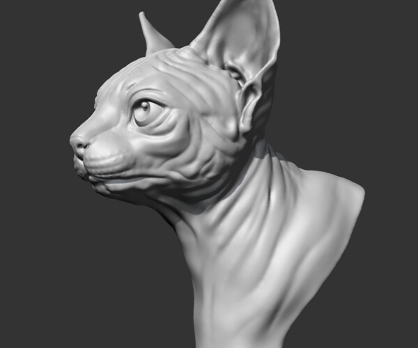 ArtStation - Sphynx Cat Head AM08 3D print model | Resources