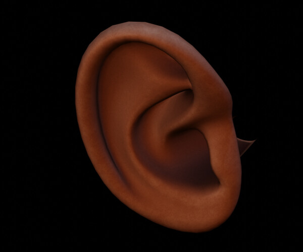 ArtStation - EAR LOW POLY GAME READY 3D MODEL | Game Assets
