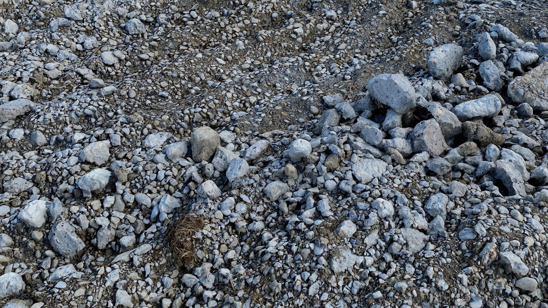 ArtStation - Gravel Ground 08 | Resources