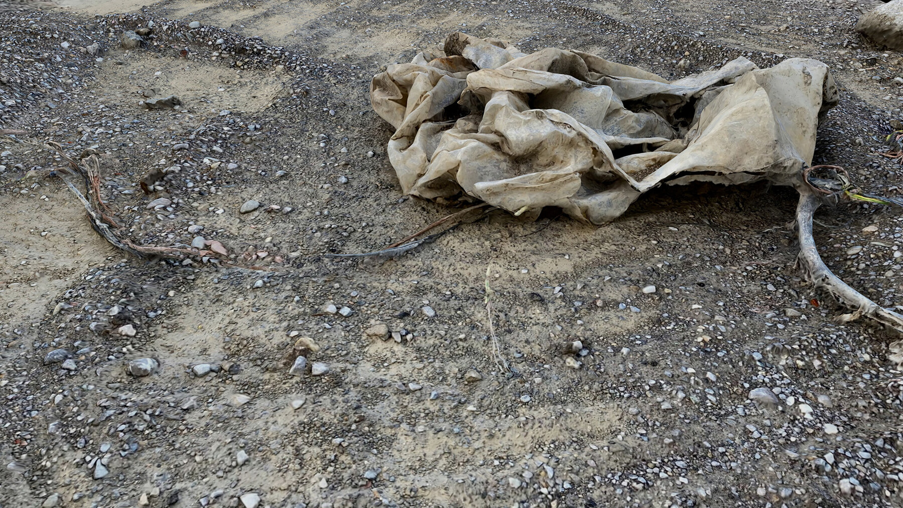 ArtStation - Gravel Ground Trash 01 | Resources