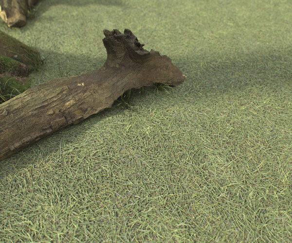 ArtStation - PBR - GRASS - 4K MATERIAL + .SBS GRAPH | Game Assets