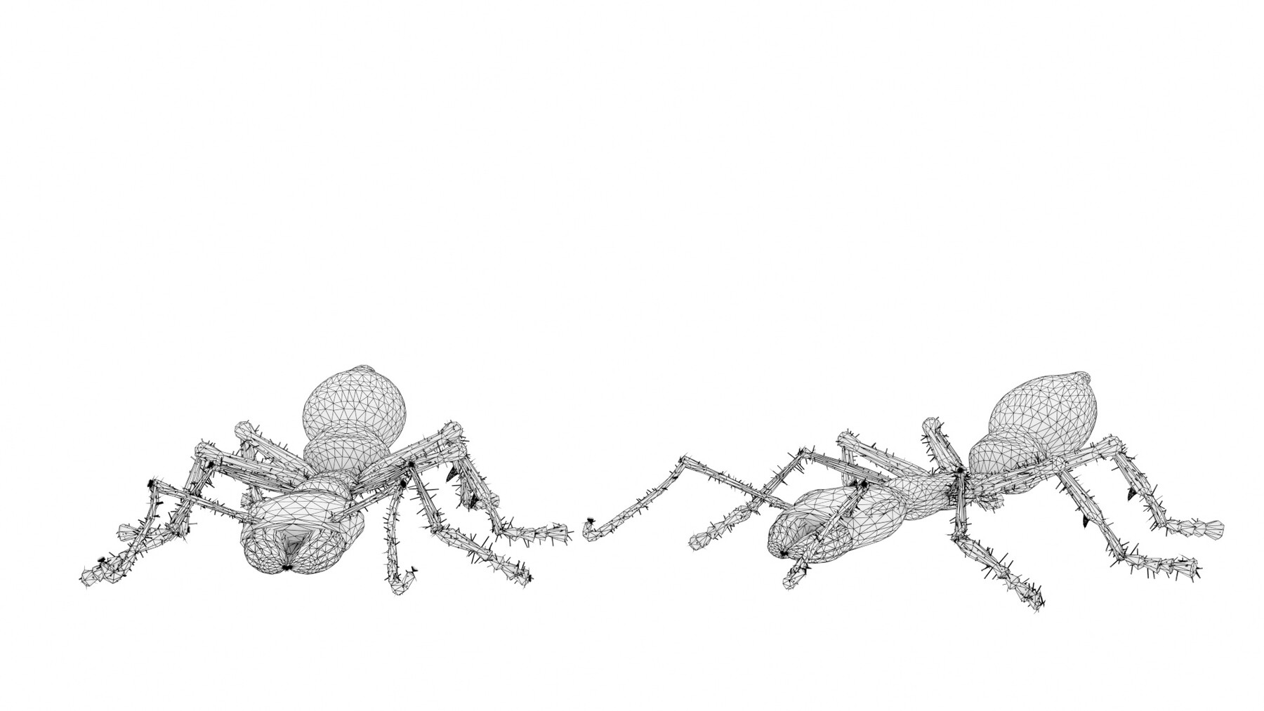 ArtStation - 3D Model of an Ant | Resources