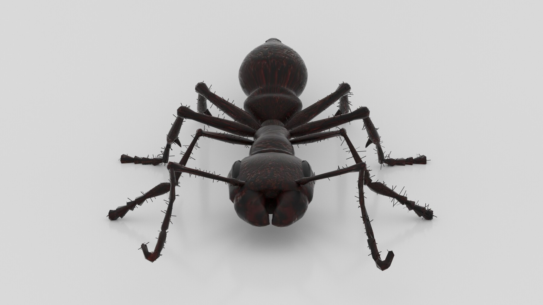 ArtStation - 3D Model of an Ant | Resources