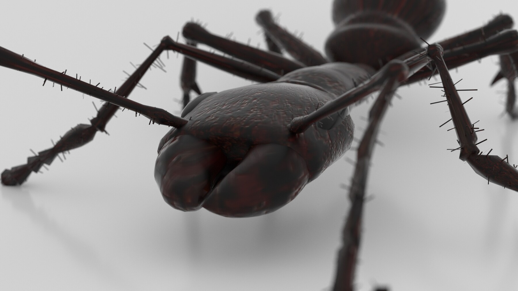 ArtStation - 3D Model of an Ant | Resources